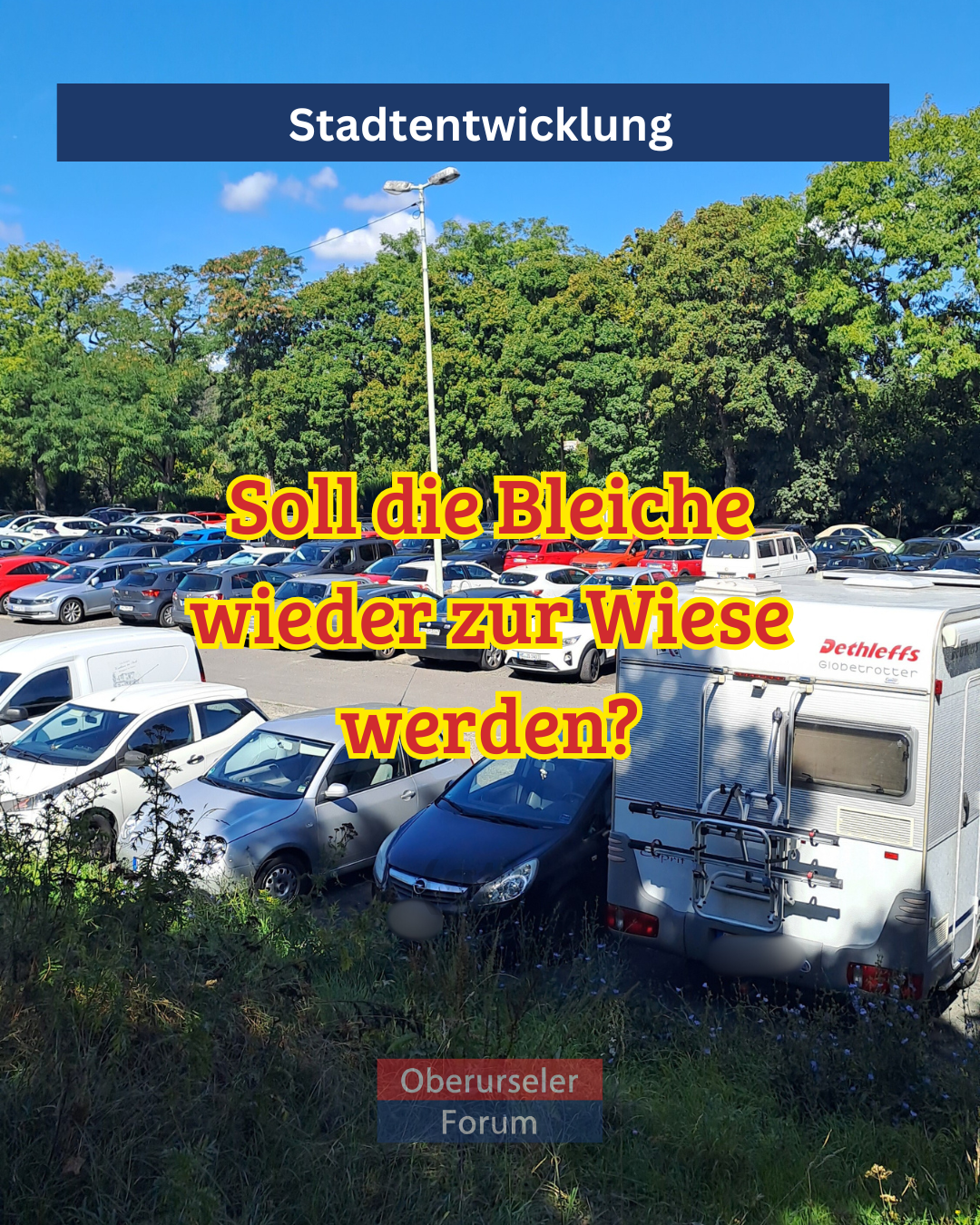 Soll die Bleiche wieder zur Wiese werden? | Towns | AllThingsGerman.net